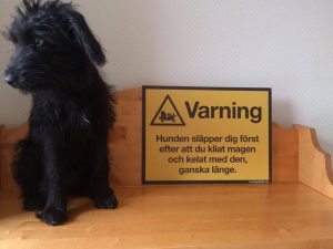 Gullig hundskylt - Roliga skyltar